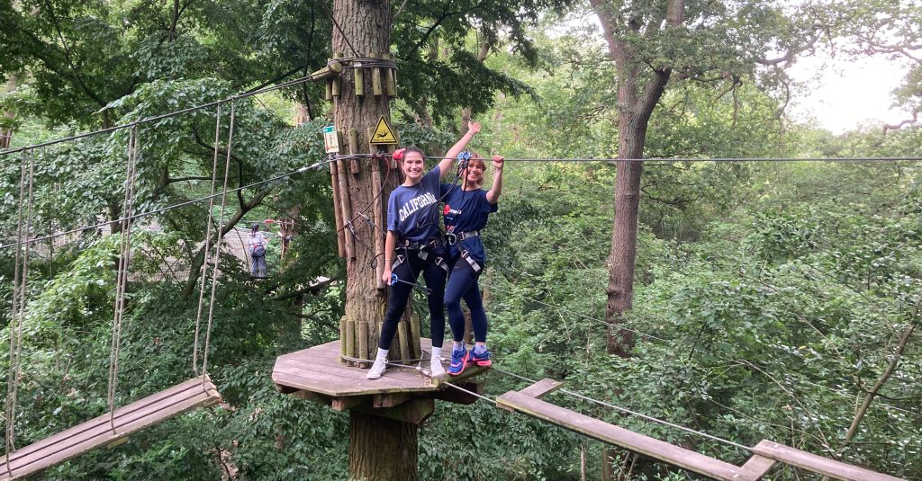 APL Media team tackle Go Ape in a day of company bonding - APL Media